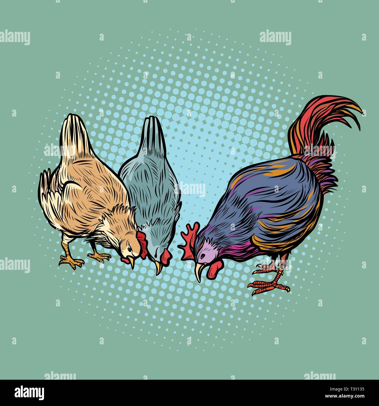 chickens and rooster. farm bird. Pop art retro vector illustration ...