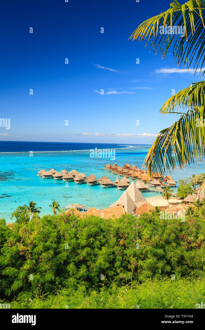 Palm trees overlooking tropical resort, Bora Bora, French Polynesia ...