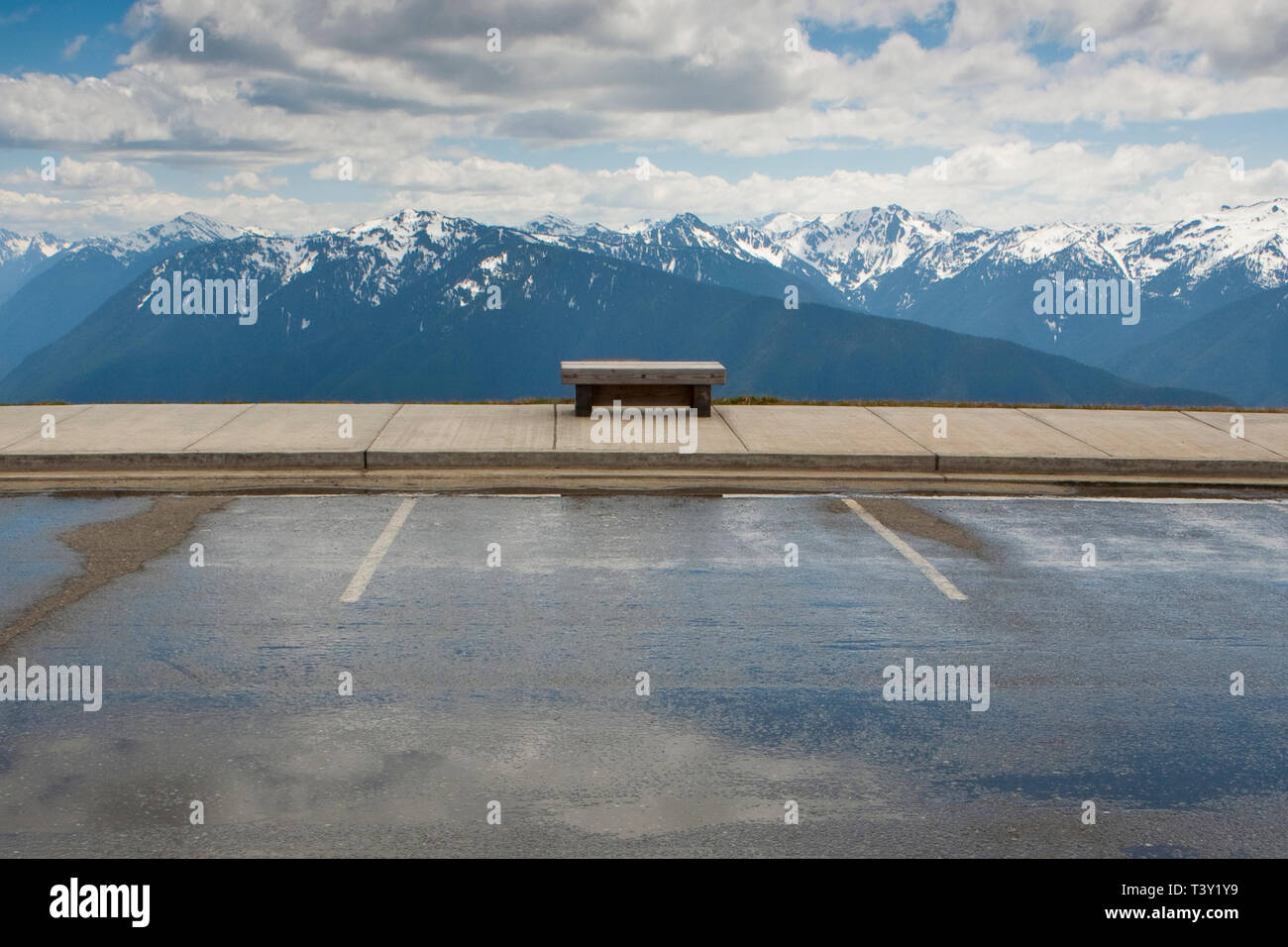 Park bench facing Hurricane Ridge, Olympic National Park, Port Angeles ...