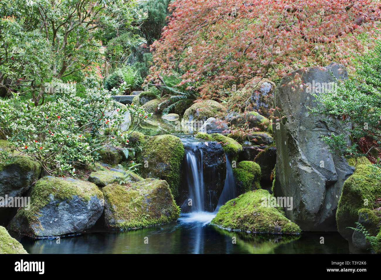 Respit hi-res stock photography and images - Alamy