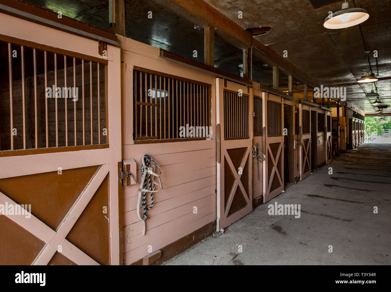 Closed stables in barn Stock Photo - Alamy