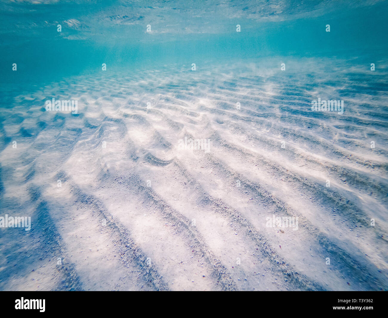 tropical blue ocean with white sand underwater background - luxury ...