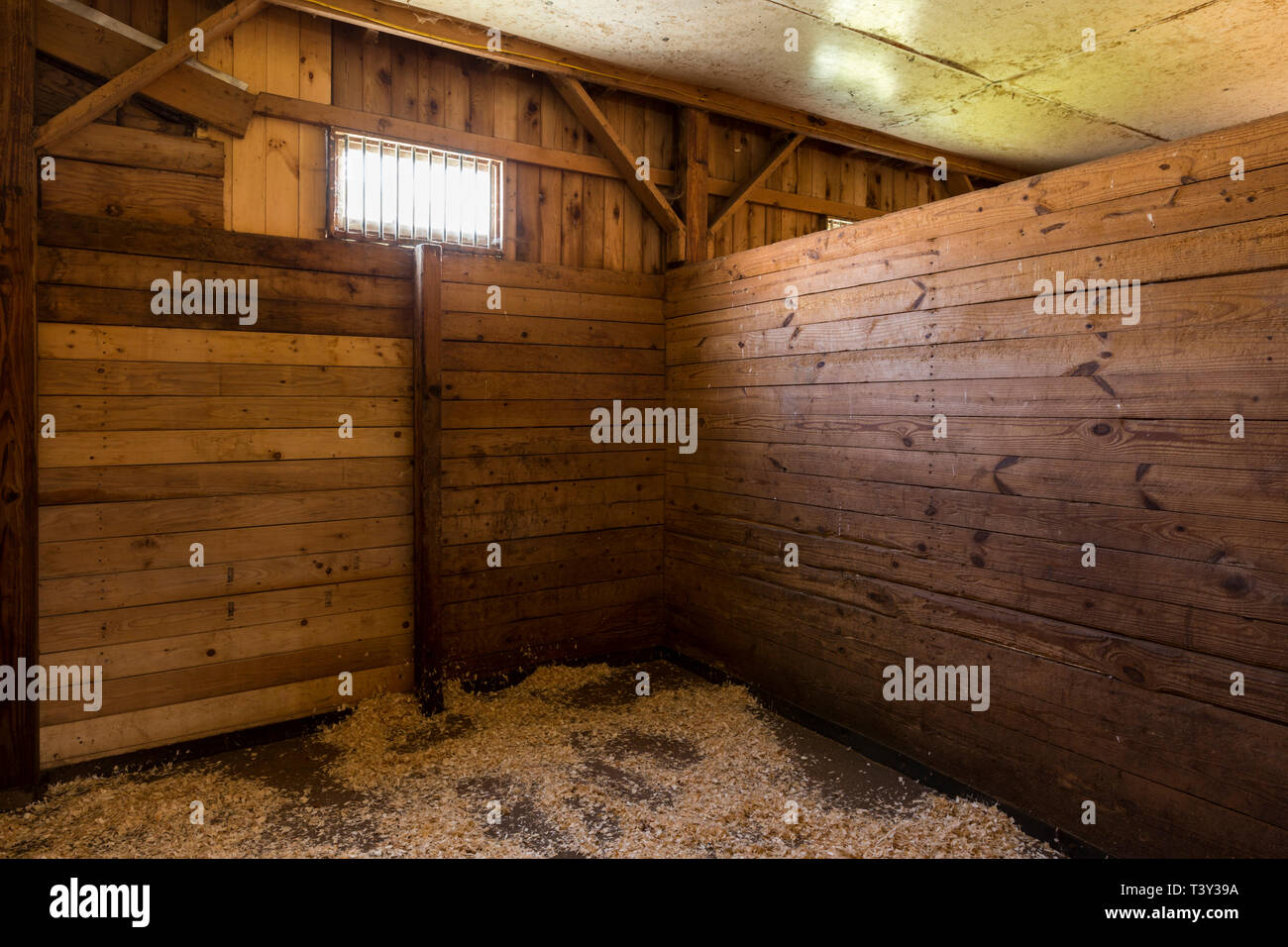 Empty stall in horse stable Stock Photo - Alamy