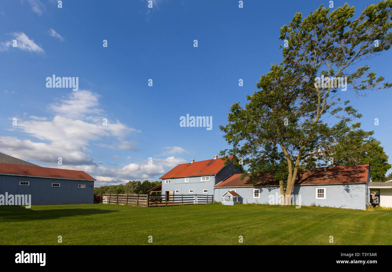 Barn and outbuildings on farm Stock Photo - Alamy