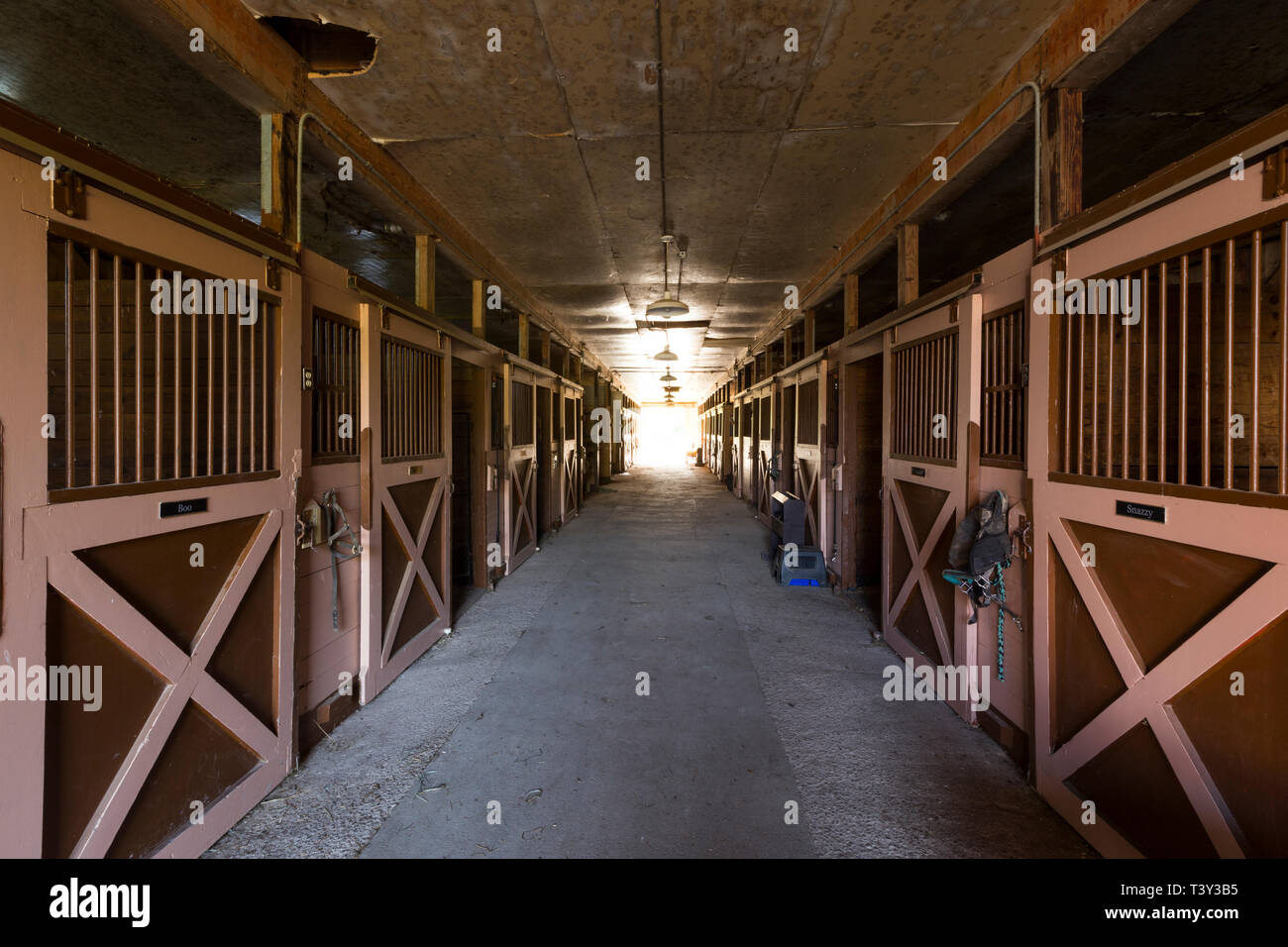 Doors in horse stable Stock Photo - Alamy