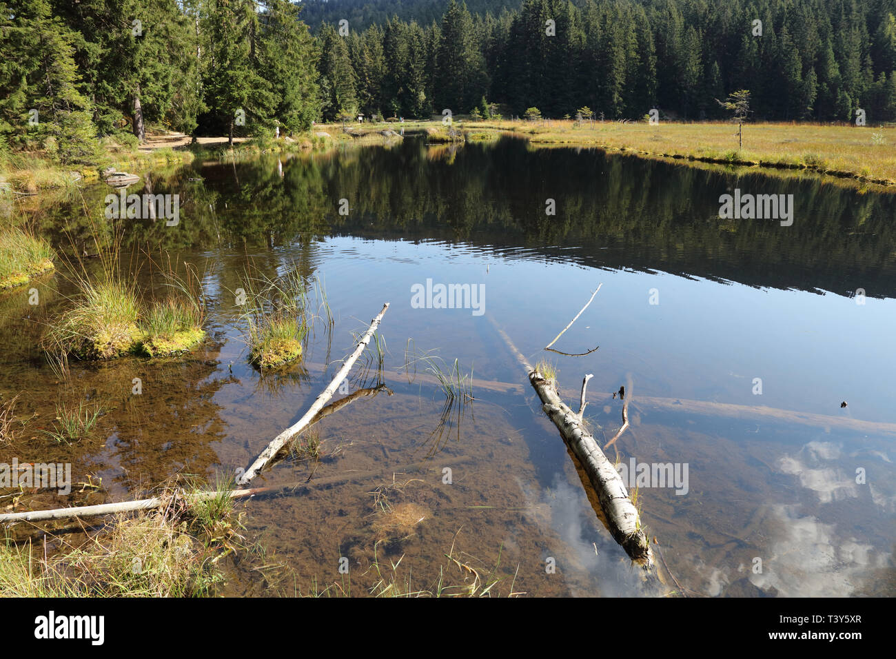 Kleiner Arbersee / Kleiner Arbersee Stock Photo - Alamy