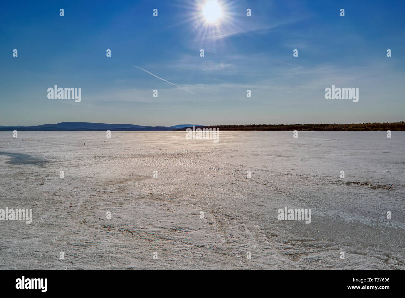 Spring nature. Melting ice on ponds. Sunny day on the shore of the Lake ...