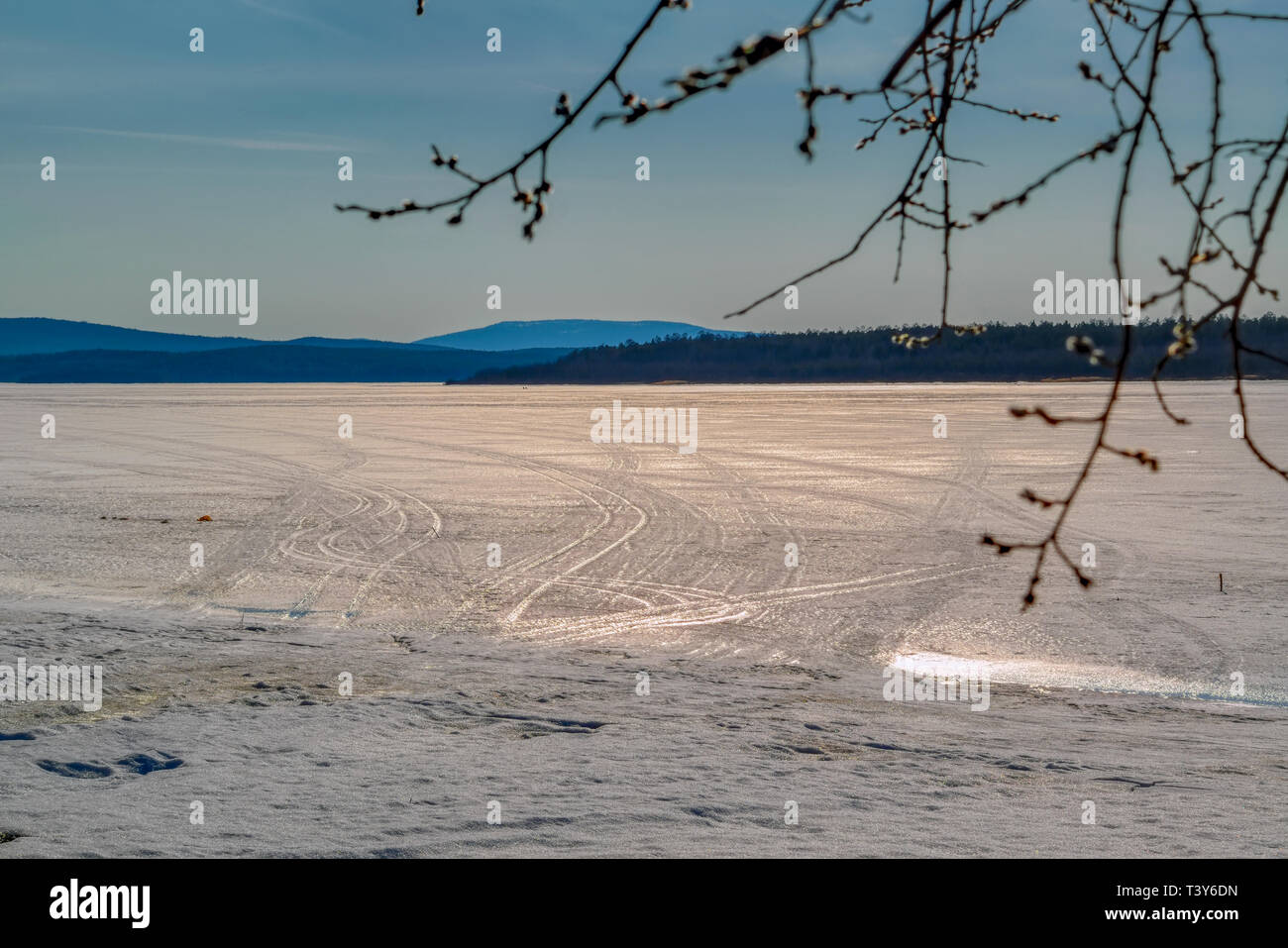 Spring nature. Melting ice on ponds. Sunny day on the shore of the Lake ...