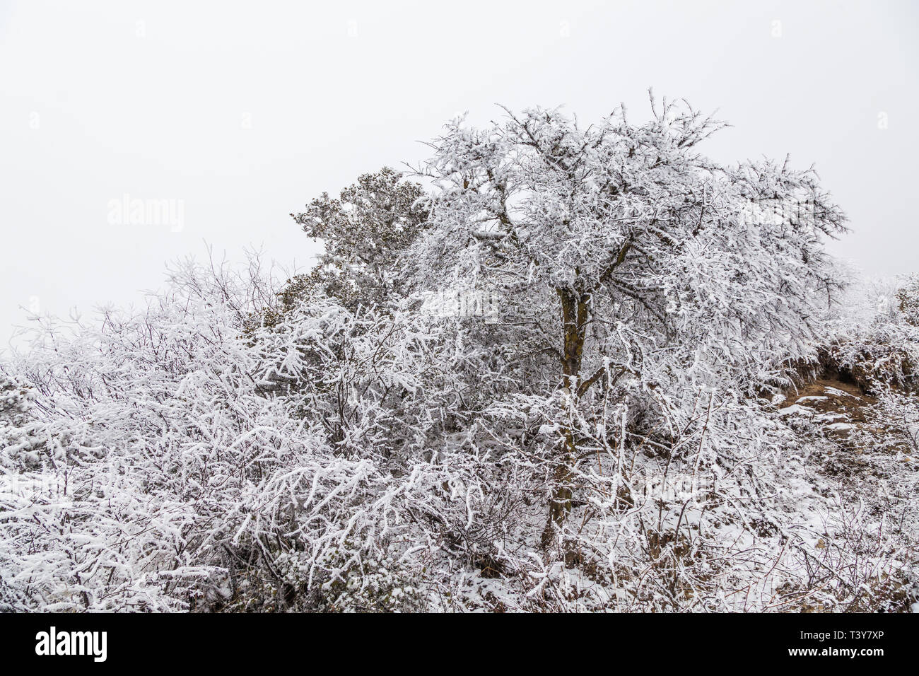 Frozen Winter Landscape in sichuan,China Stock Photo - Alamy
