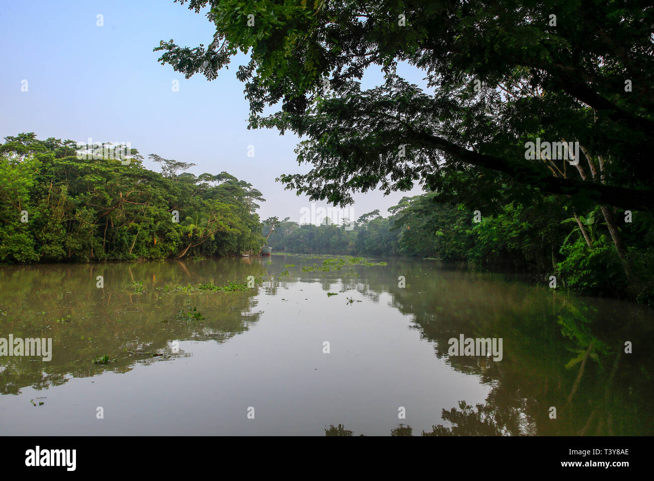 Life around the Sondha River. Pirojpur, Bangladesh Stock Photo - Alamy