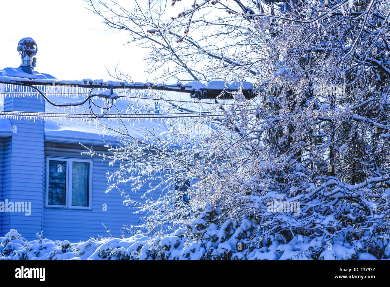 Ice catastrophe in the cold american spring. Melting icicle and falling ...