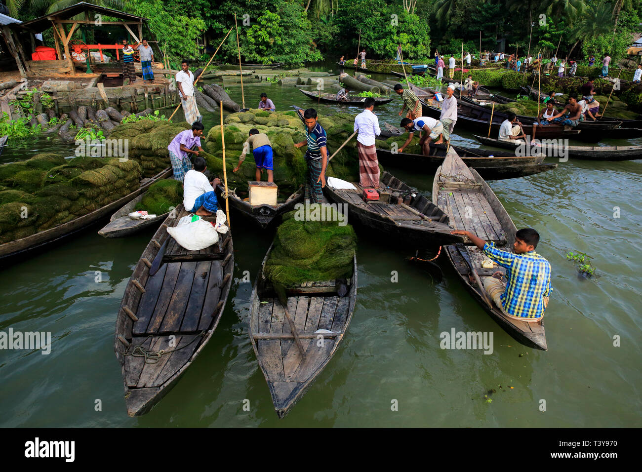 Agricultural floating market at Najirpur in Pirojpur district ...