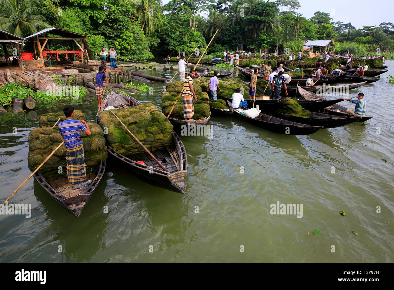 Agricultural floating market at Najirpur in Pirojpur district ...