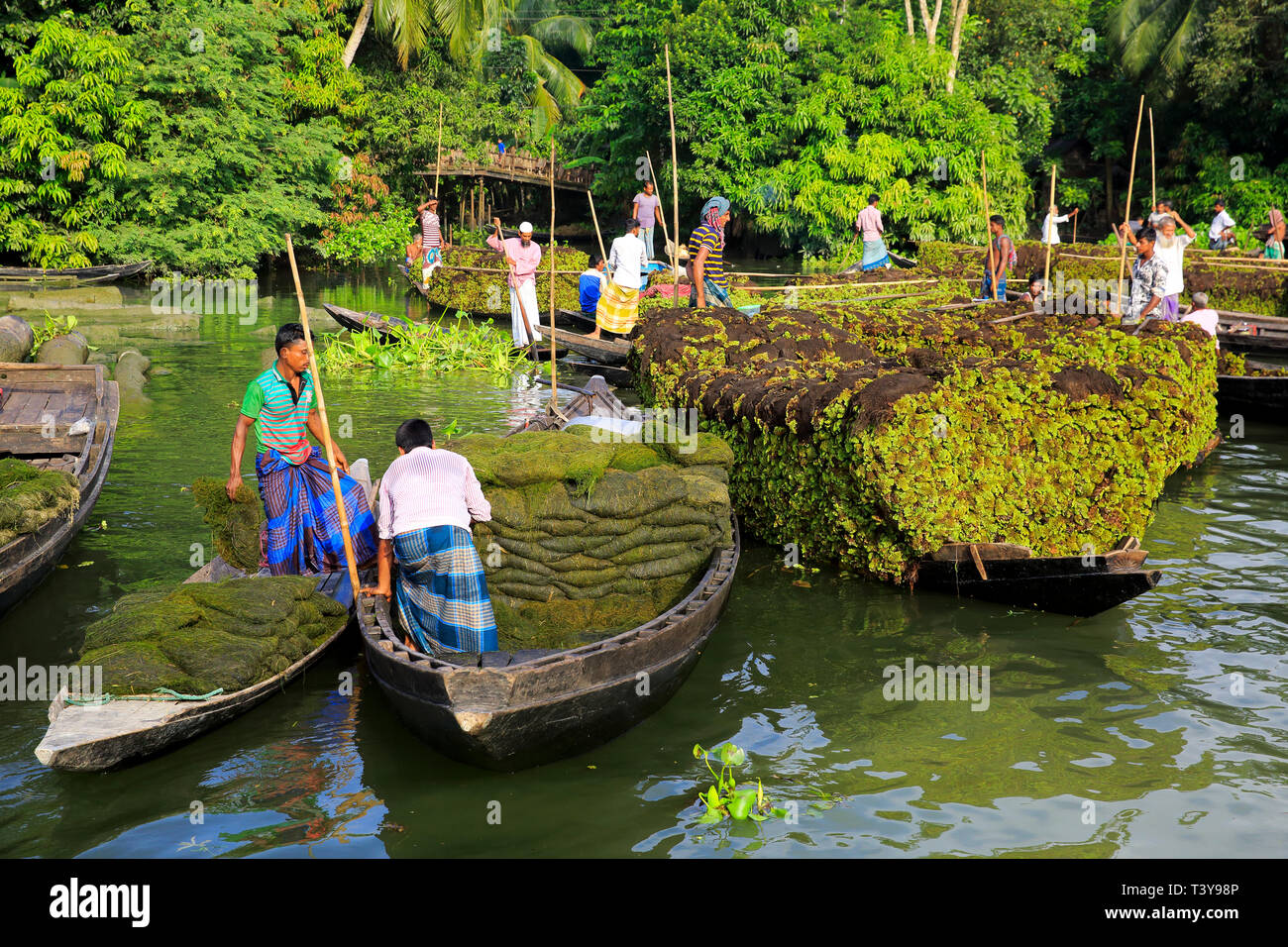 Agricultural floating market at Najirpur in Pirojpur district ...