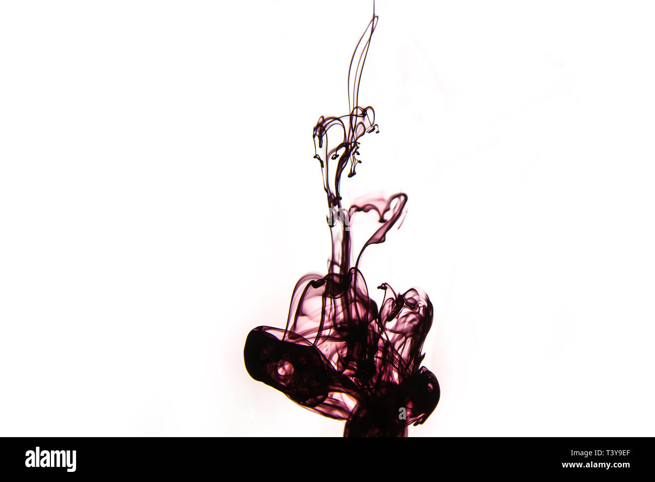 Inside aquarium Cut Out Stock Images & Pictures - Alamy