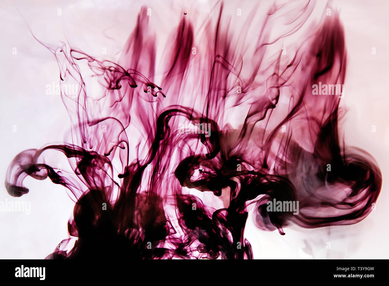 Bright maroon dark drops in water on a white background. Colored ...