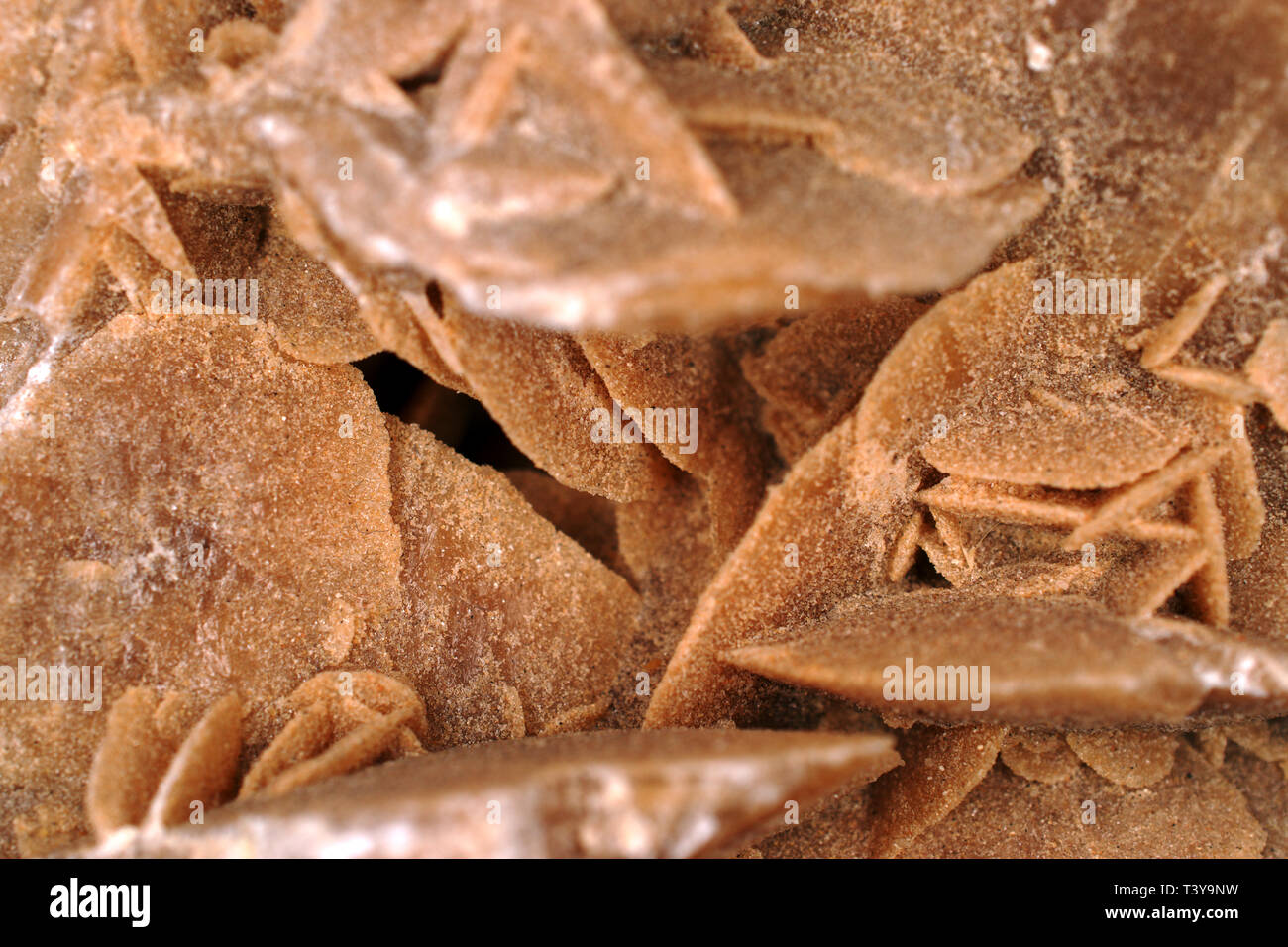 Desert rose architecture hi-res stock photography and images - Alamy