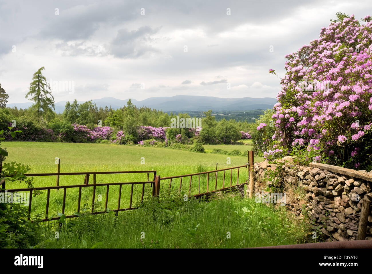 The vee tipperary hi-res stock photography and images - Alamy