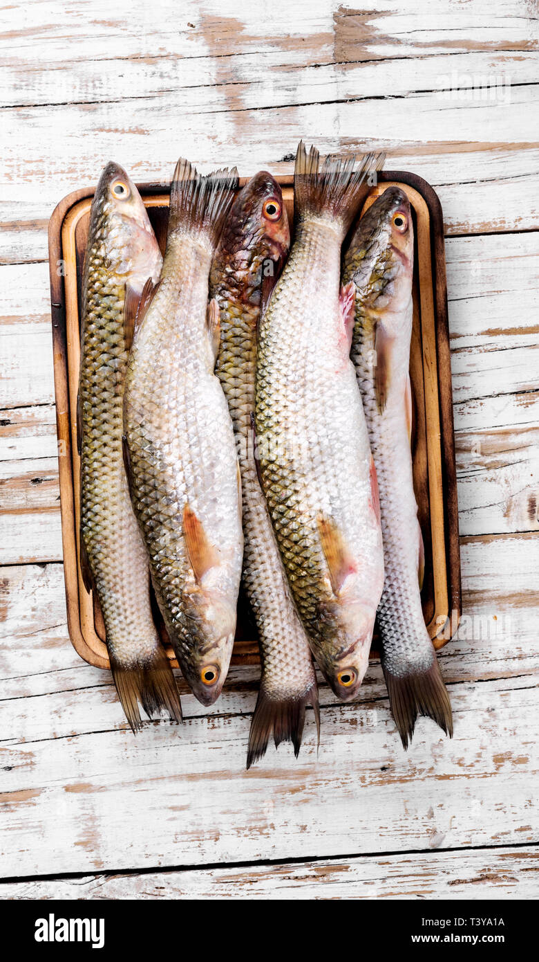 Fish market concept.Fresh fish with ingredients for cooking Stock Photo ...