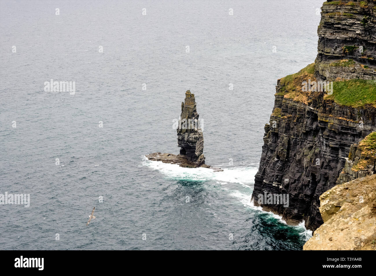 World famous Cliffs of Moher, one of the most popular tourist ...