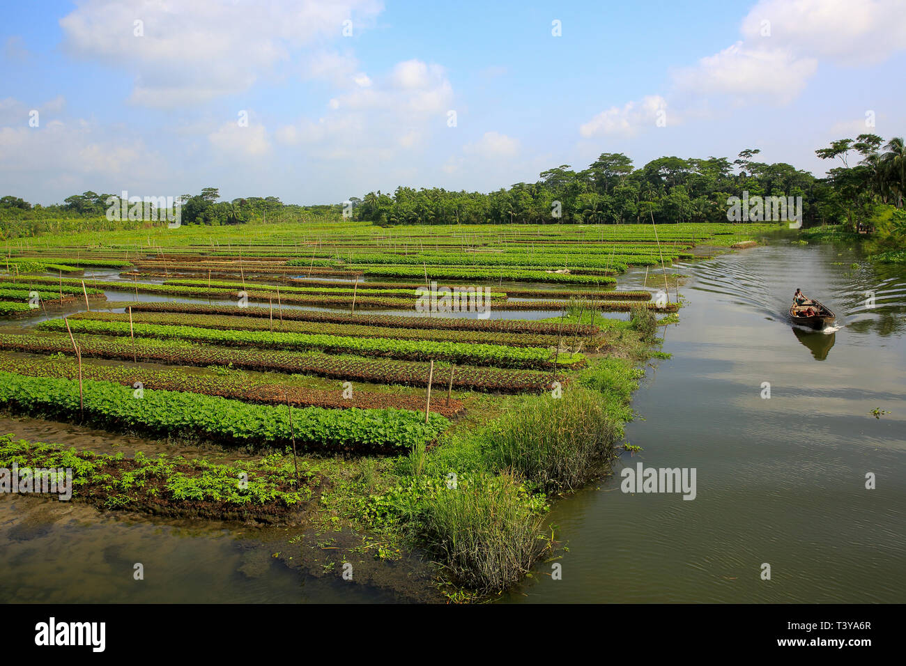 Floating farms bangladesh hi-res stock photography and images - Alamy