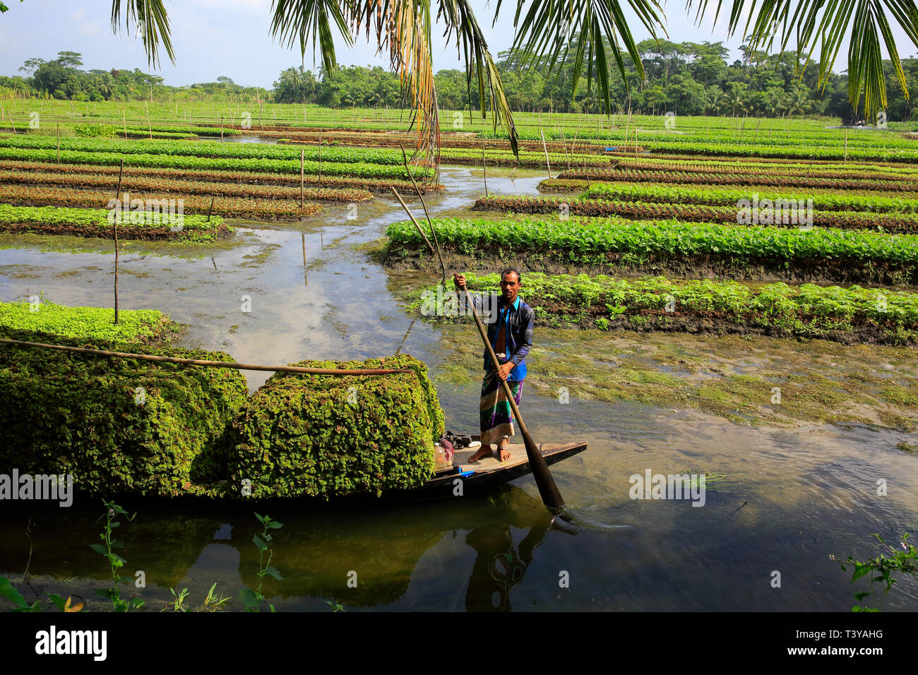 Floating farms bangladesh hi-res stock photography and images - Alamy