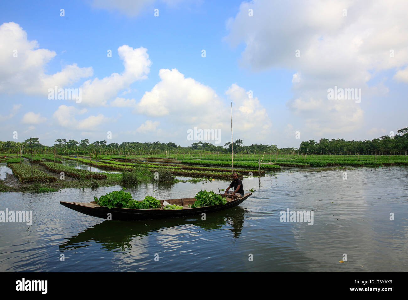 Floating farms bangladesh hi-res stock photography and images - Alamy