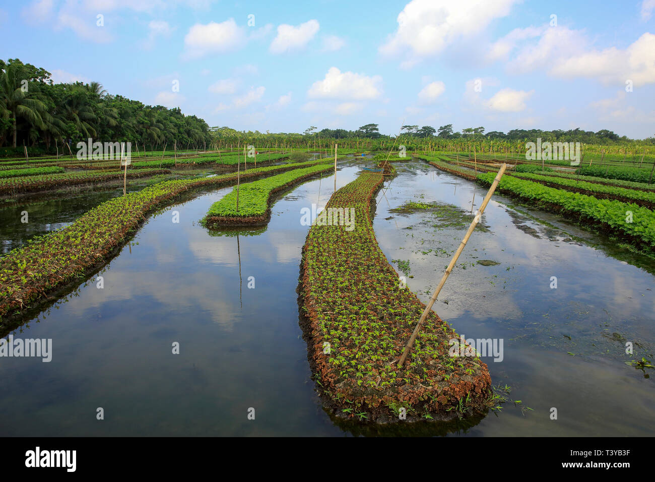 Floating production systems hi-res stock photography and images - Alamy