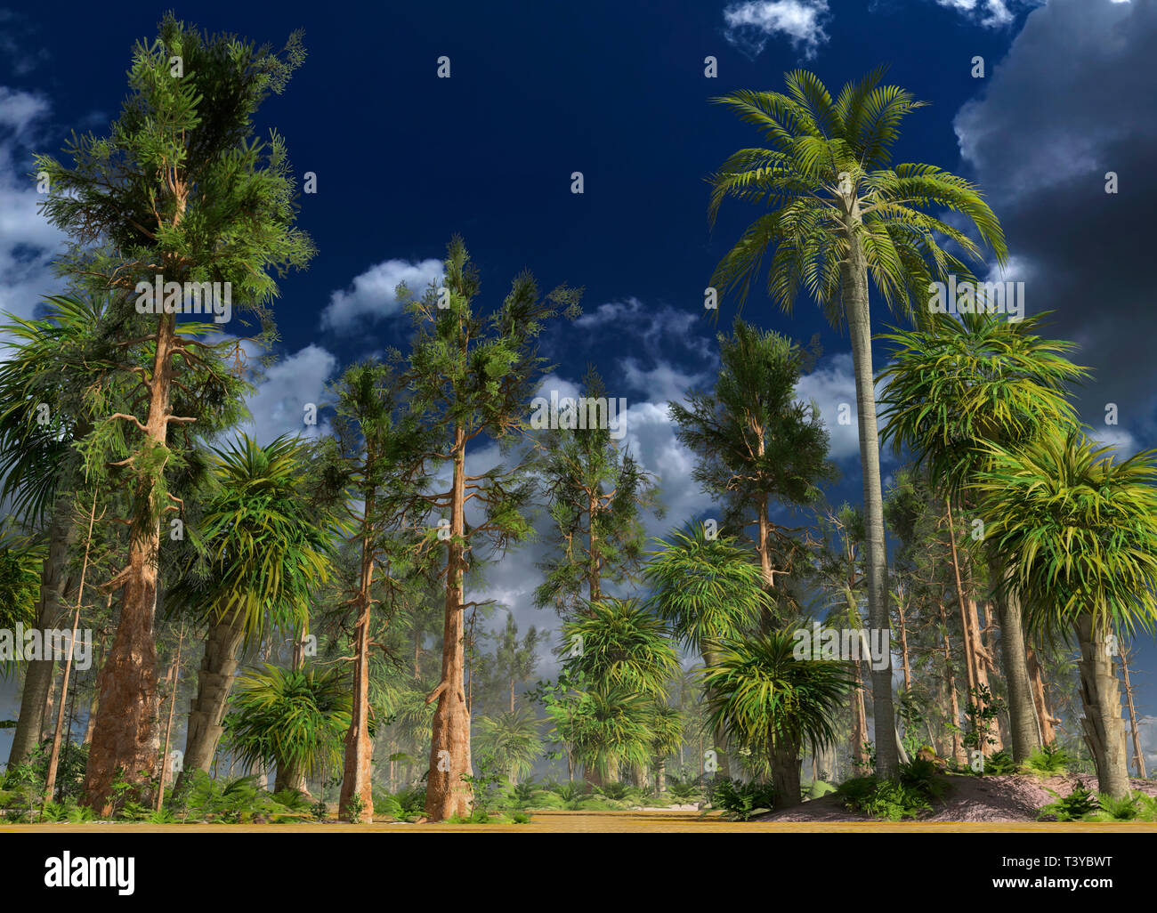 Mesozoic Plants High Resolution Stock Photography and Images - Alamy