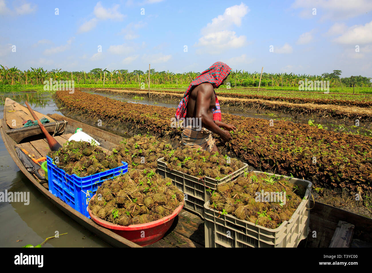Floating farm in bangladesh hi-res stock photography and images - Alamy