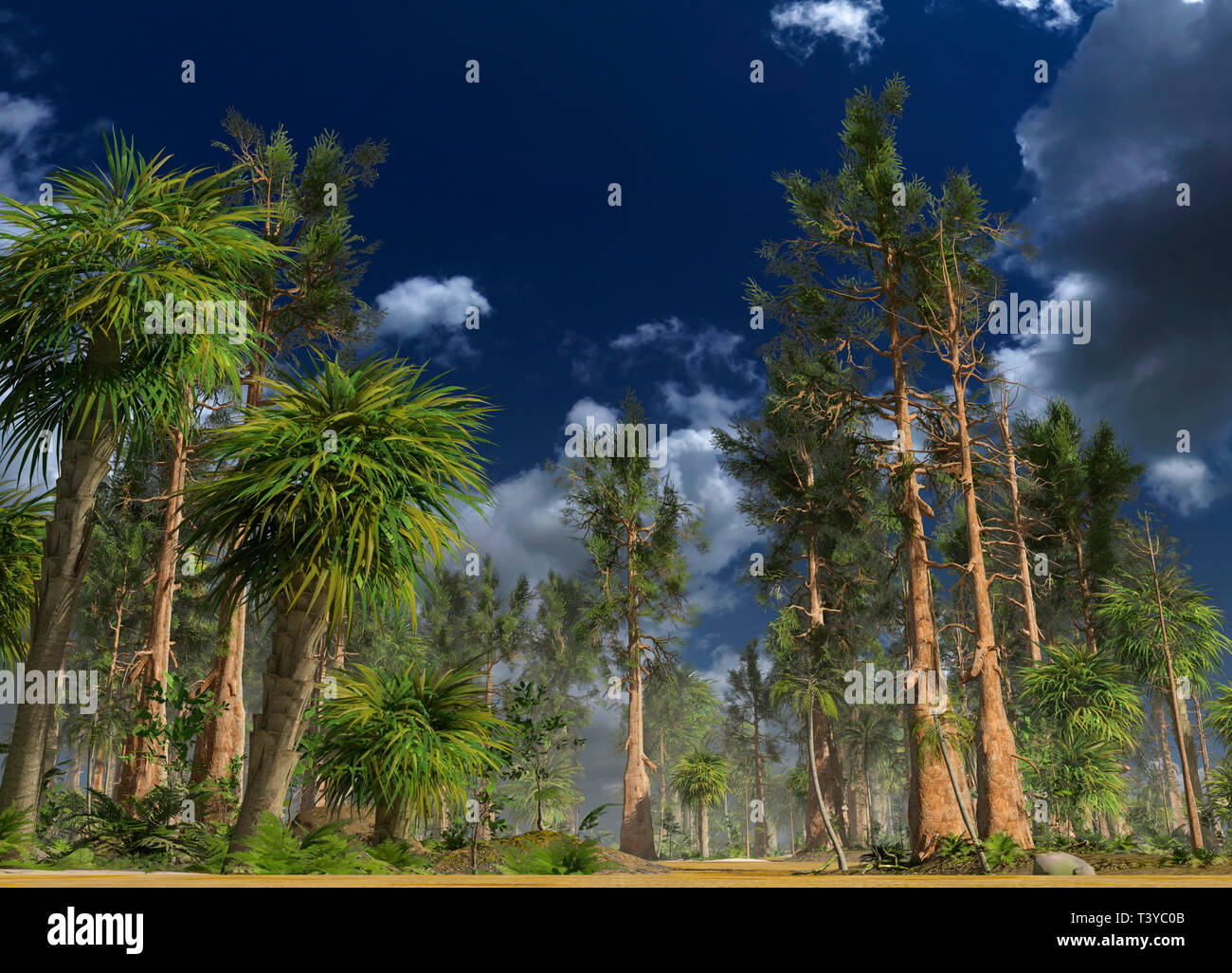 Mesozoic Plants High Resolution Stock Photography and Images - Alamy