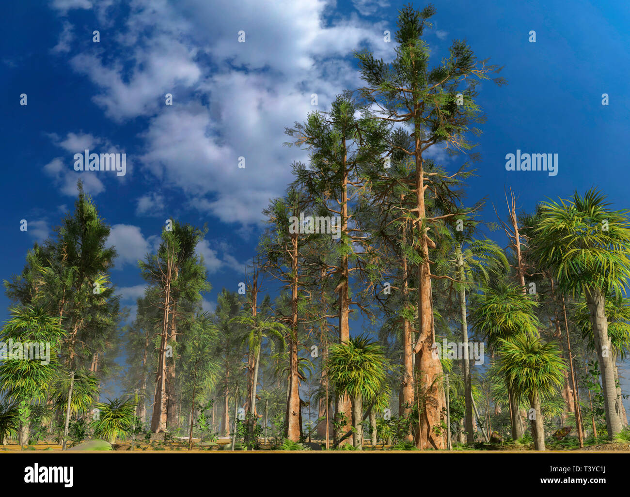 3D illustration forest of the mesozoic era Stock Photo - Alamy