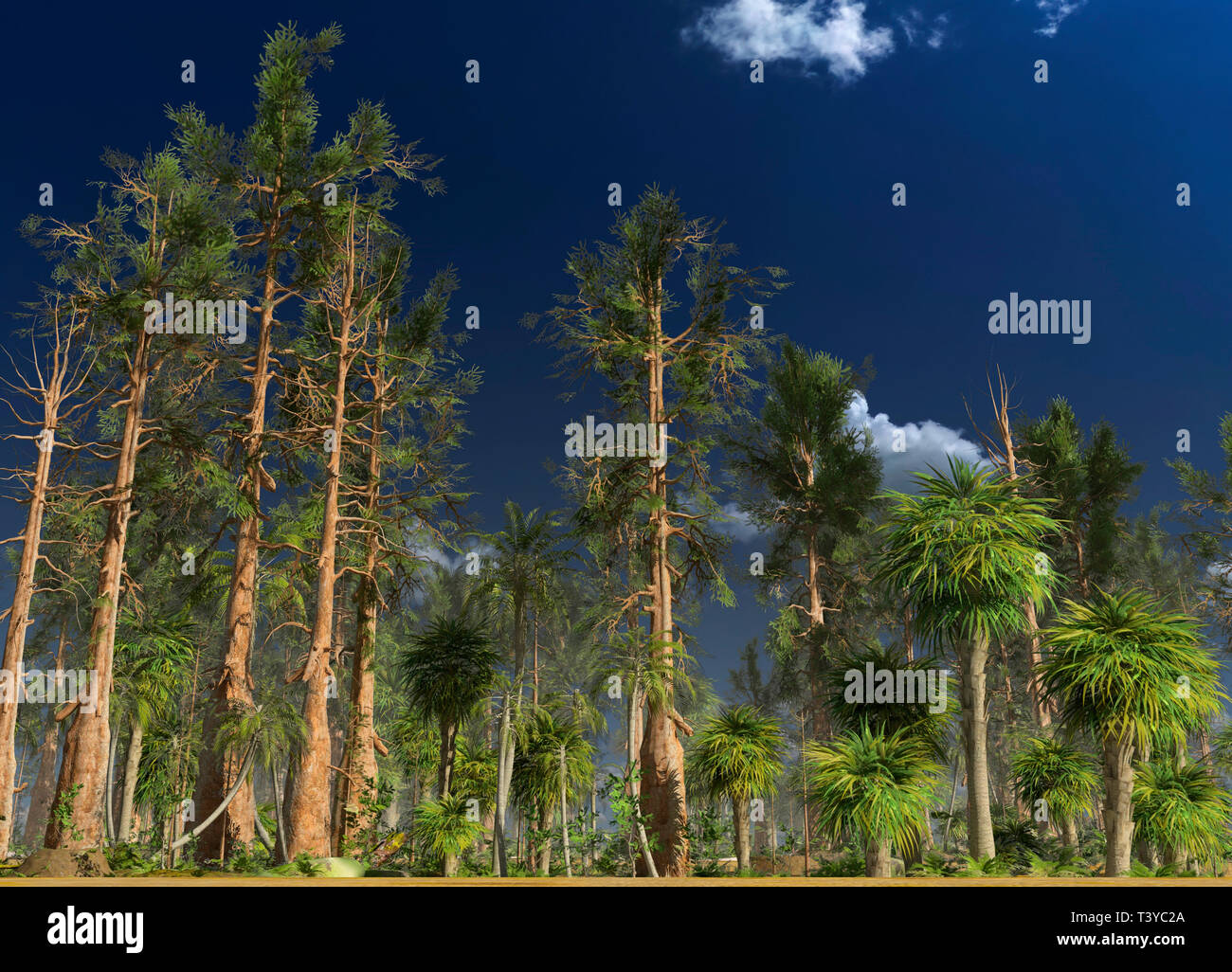 Mesozoic Plants High Resolution Stock Photography and Images - Alamy