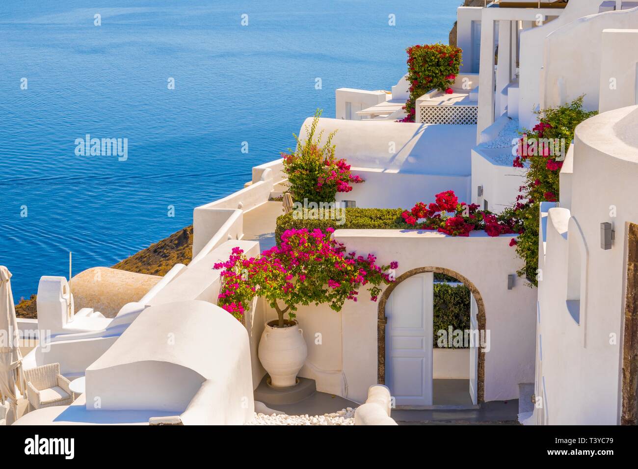 Traditional house and flower in Oia islands , Santorini, Greece Stock ...