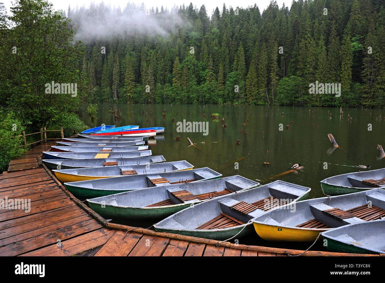 Lacul hi-res stock photography and images - Alamy