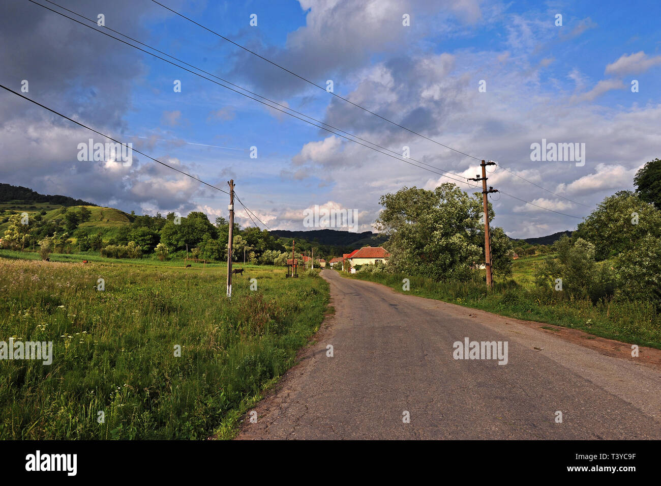 Motiș, Transylvania/ Romania: Landscape Stock Photo - Alamy