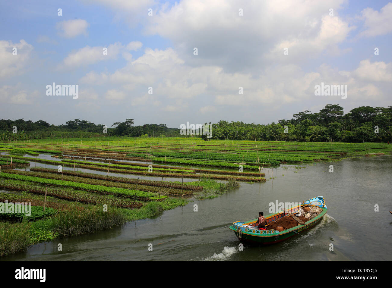 Floating farms in the coastal districts of Pirojpur have been ...