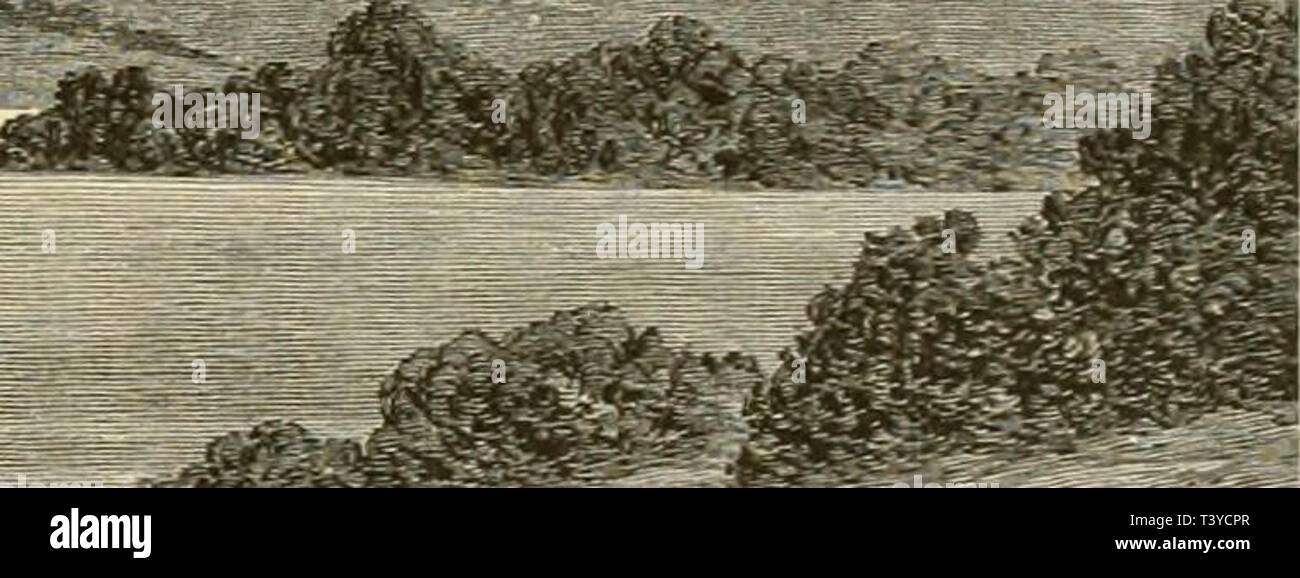 Marmion historical hi-res stock photography and images - Alamy