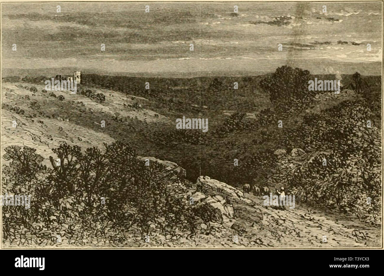 Marmion historical hi-res stock photography and images - Alamy