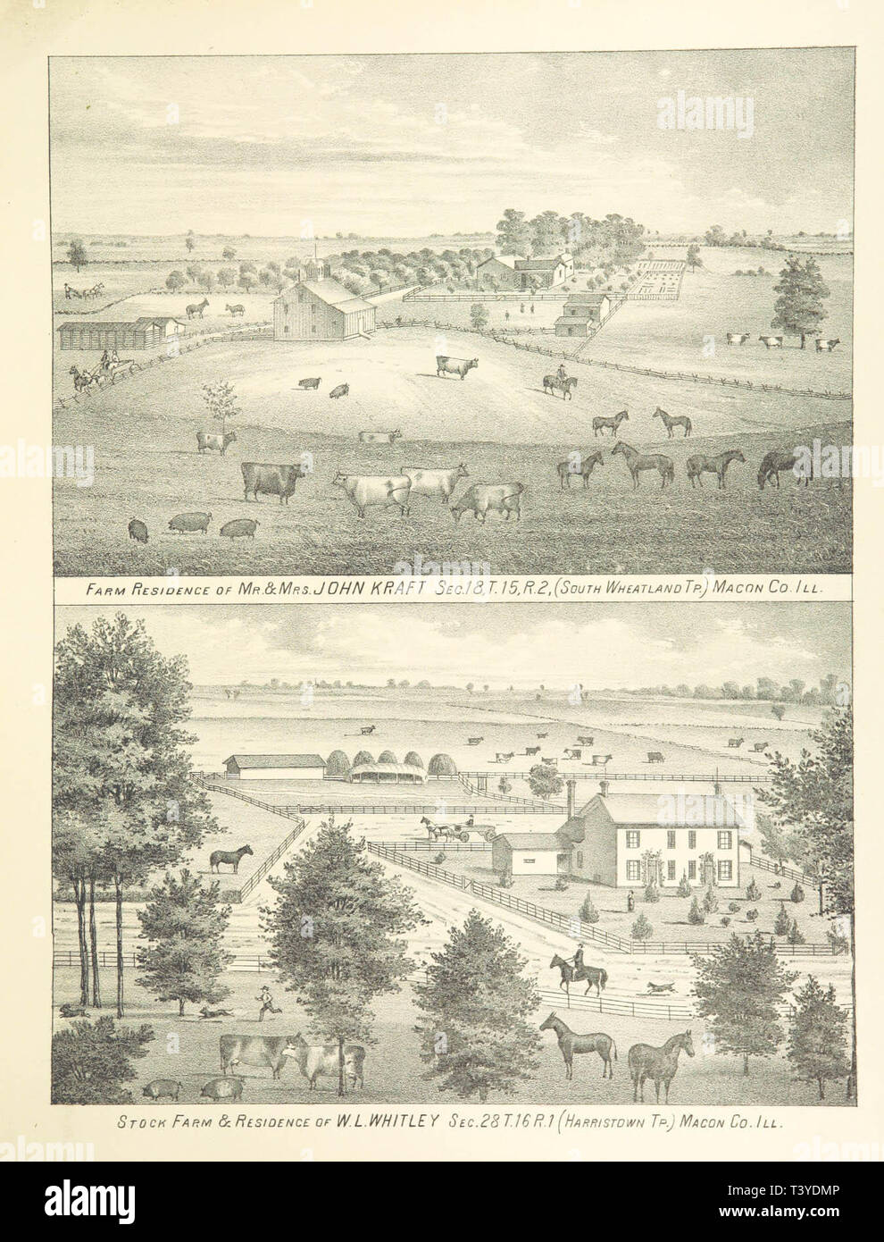 History of Macon County Illinois Stock Photo - Alamy