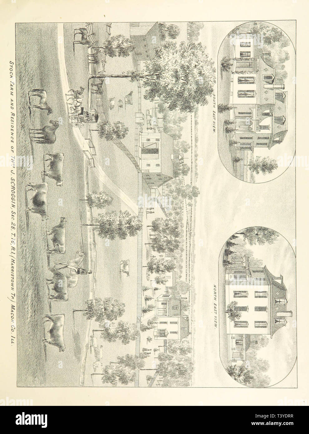 History of Macon County Illinois Stock Photo - Alamy