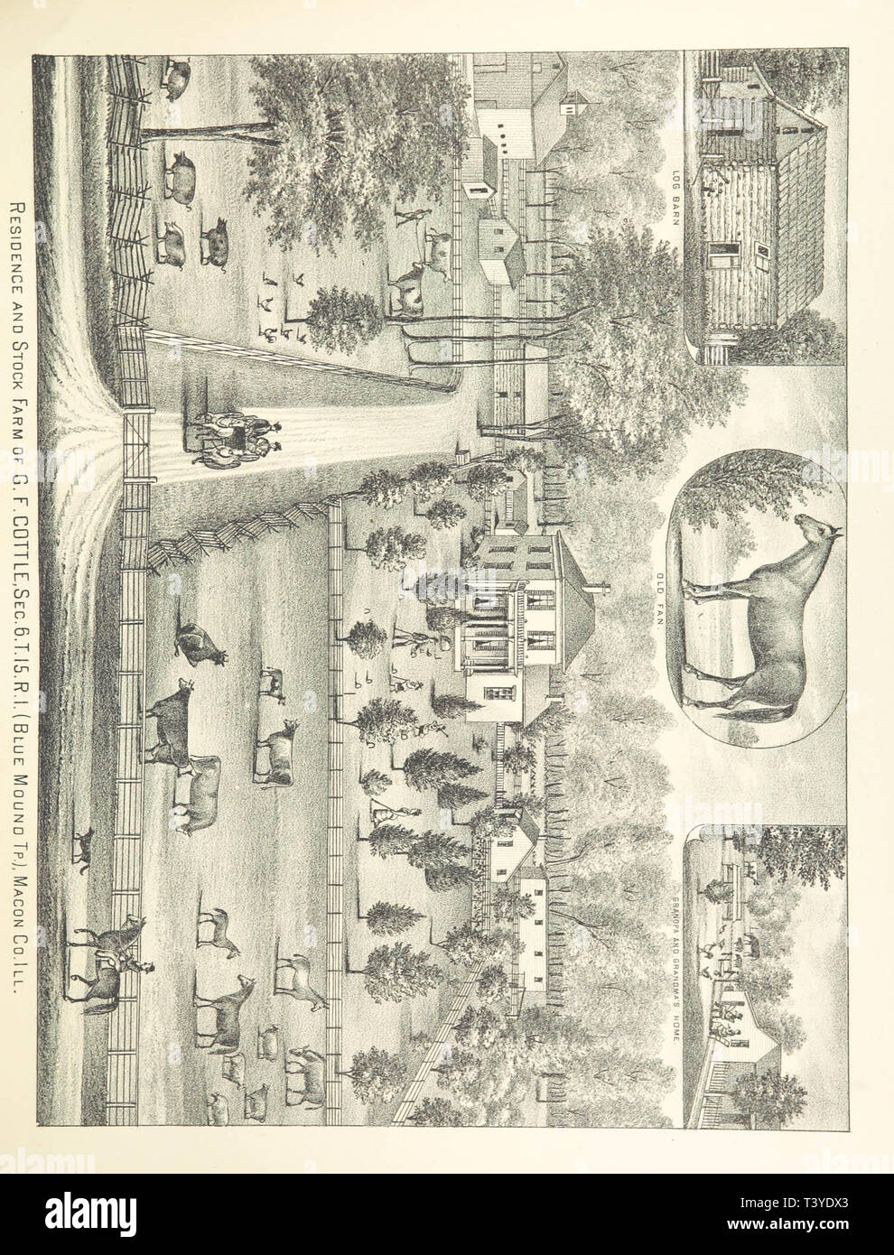 History of Macon County Illinois Stock Photo - Alamy