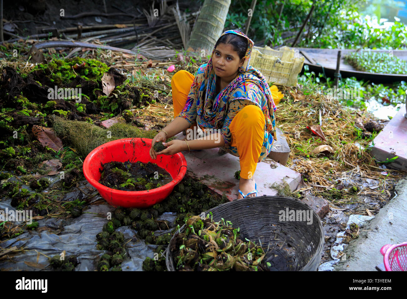 Floating seeds hi-res stock photography and images - Alamy