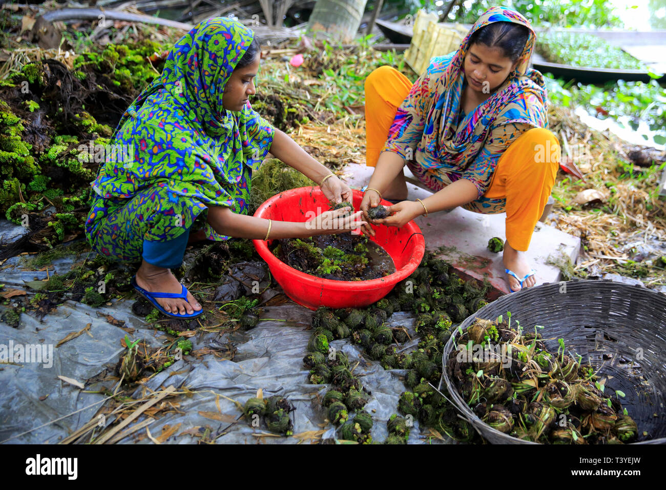 Floating seeds hi-res stock photography and images - Alamy