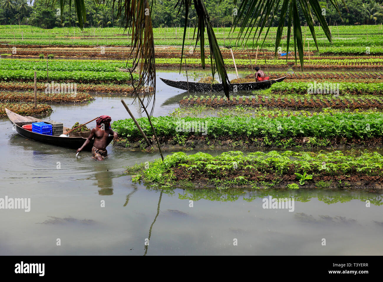 Floating farms bangladesh hi-res stock photography and images - Alamy