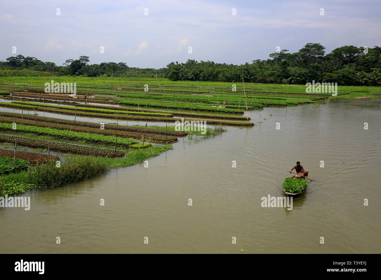 Floating farms bangladesh hi-res stock photography and images - Alamy