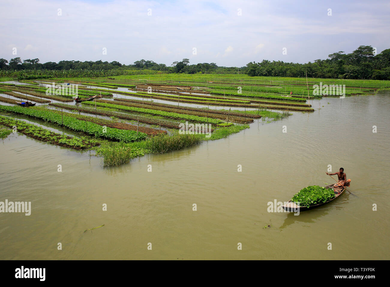 Floating farms bangladesh hi-res stock photography and images - Alamy