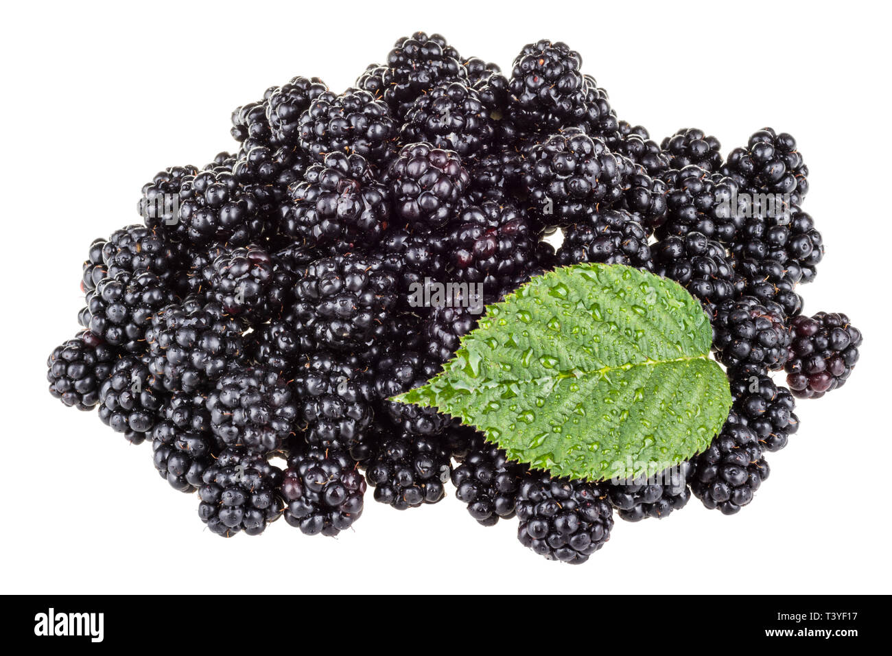 Forest fruit hi-res stock photography and images - Alamy