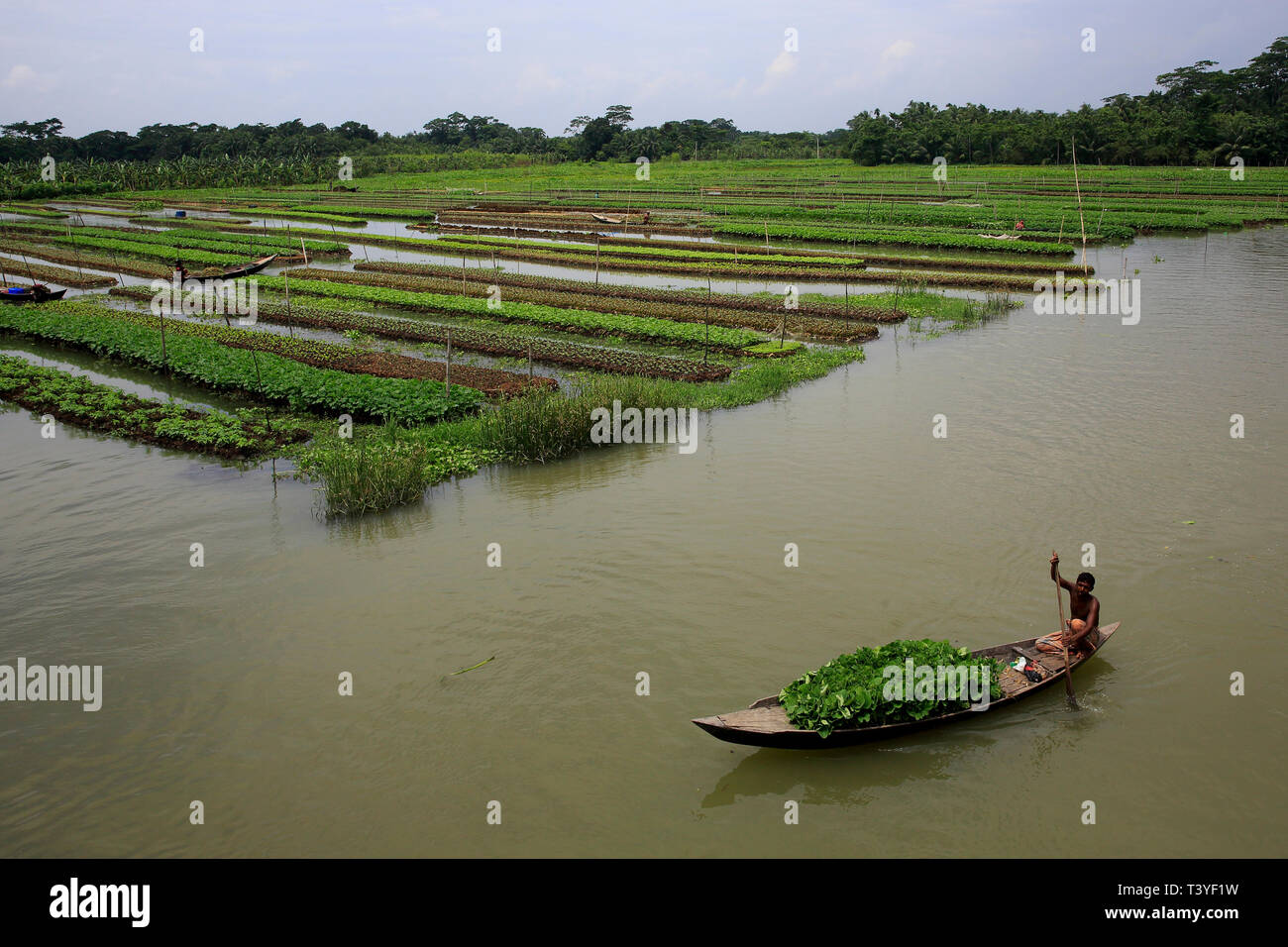 Floating farms bangladesh hi-res stock photography and images - Alamy