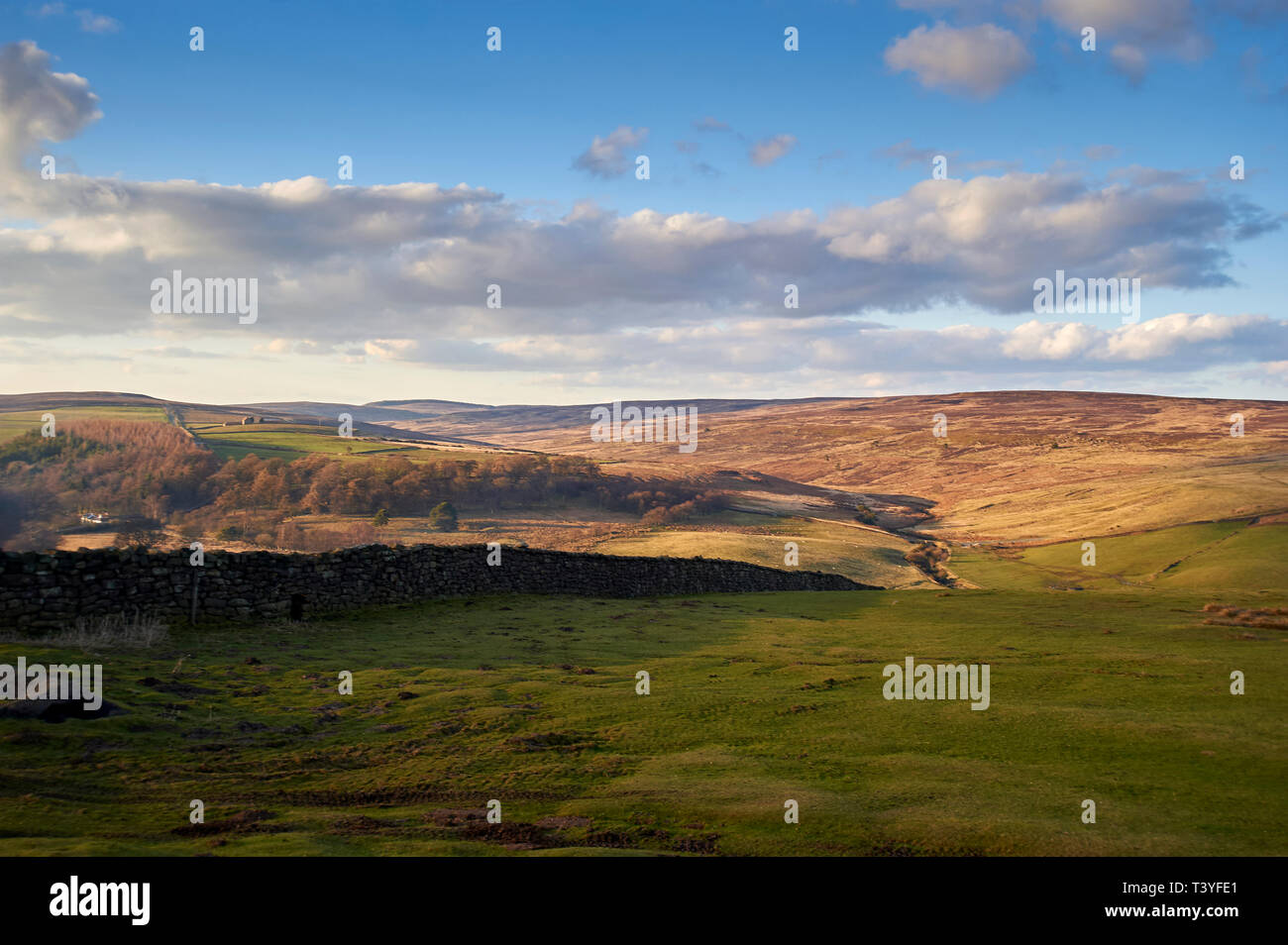 North Yorkshire Heather Rock High Resolution Stock Photography and ...